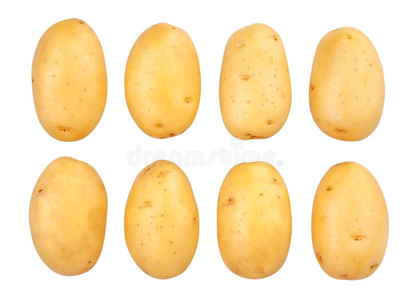 White potatoes stock photo. Image of vegetables, food - 153580036