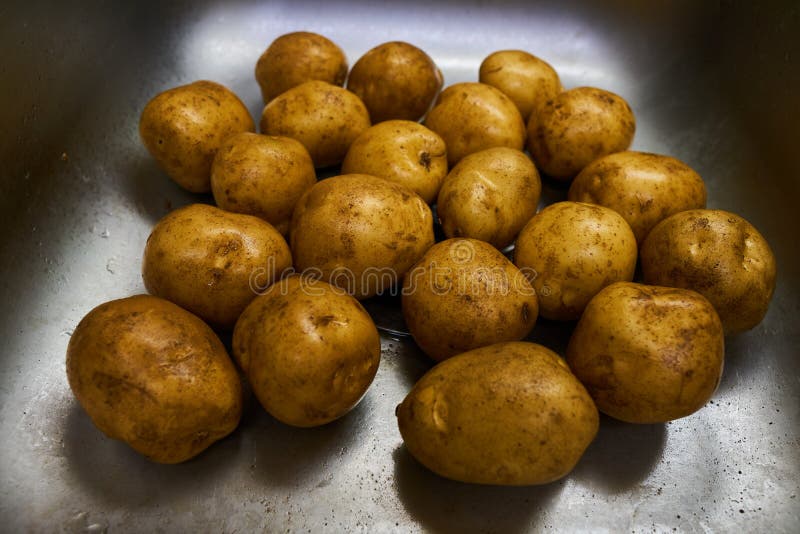 White Potatoes in the Sink 3 Stock Photo - Image of grown, washed ...