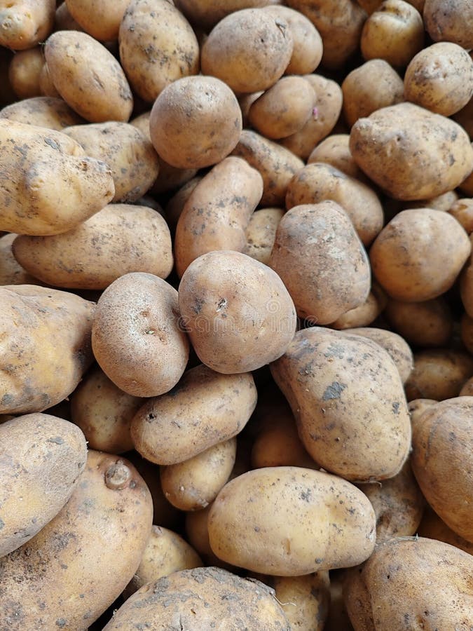 White Potatoes Stacked High on a Market Stall Stock Image - Image of ...