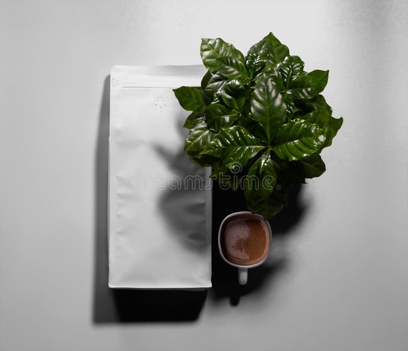 White Pouch Mockup with Shadows, Cup of Coffee, Arabica Tree, Top View ...