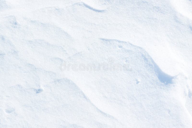 White, powdery snow stock photo. Image of nature, people - 129122226