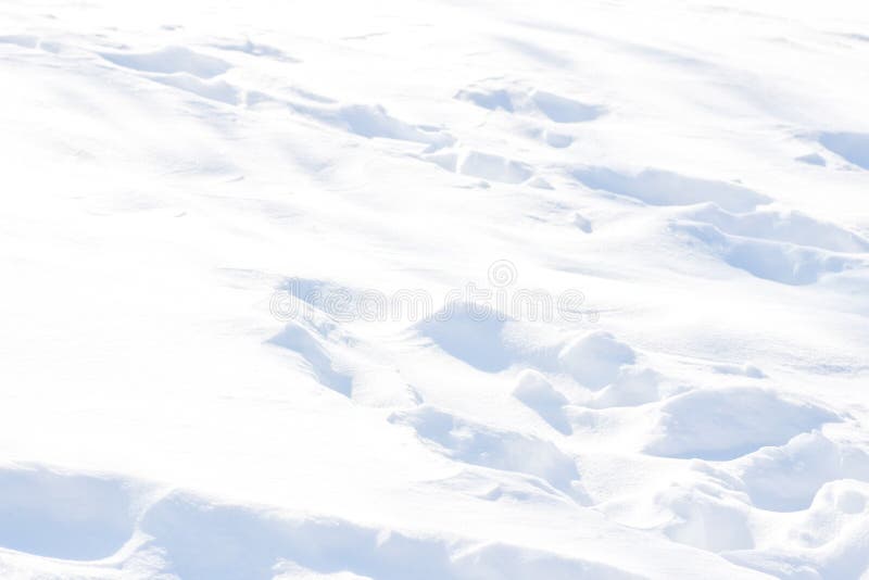 White, powdery snow stock photo. Image of january, deep - 129122266