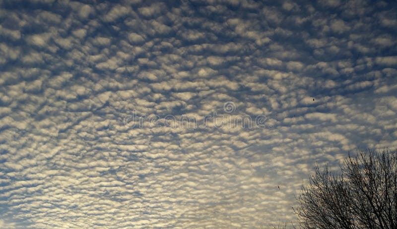 White Puffy Clouds and Blue Sky before Sunset Stock Image - Image of ...