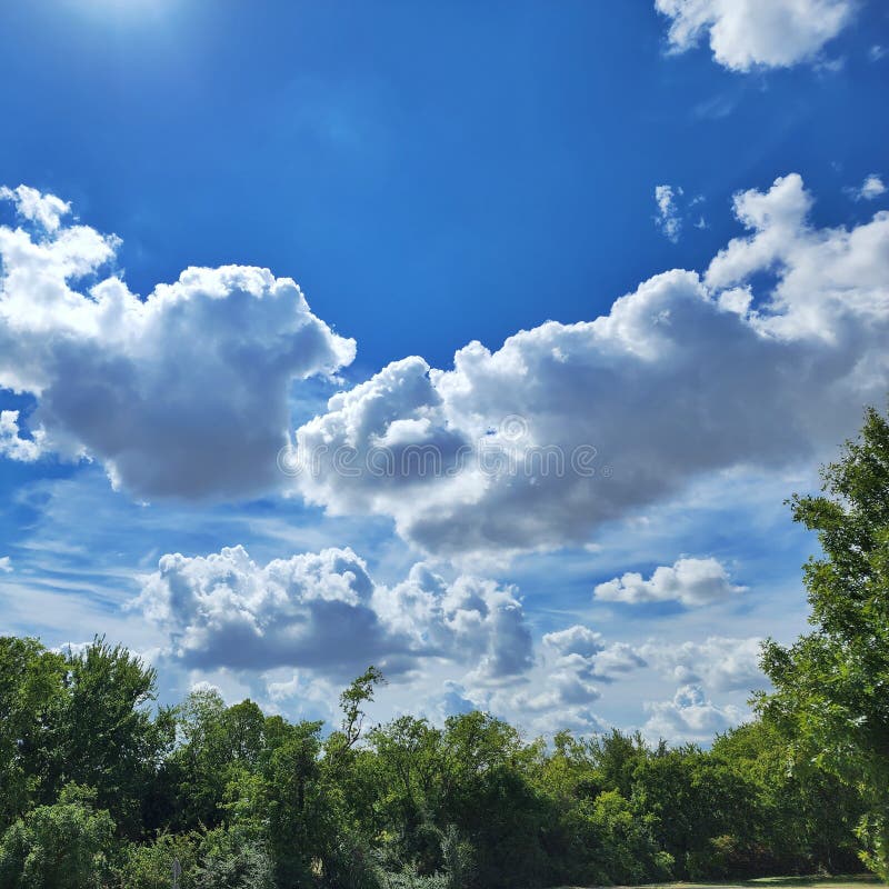 White Puffy Clouds, Deep Blue Sky and Green Trees in Foreground Stock ...