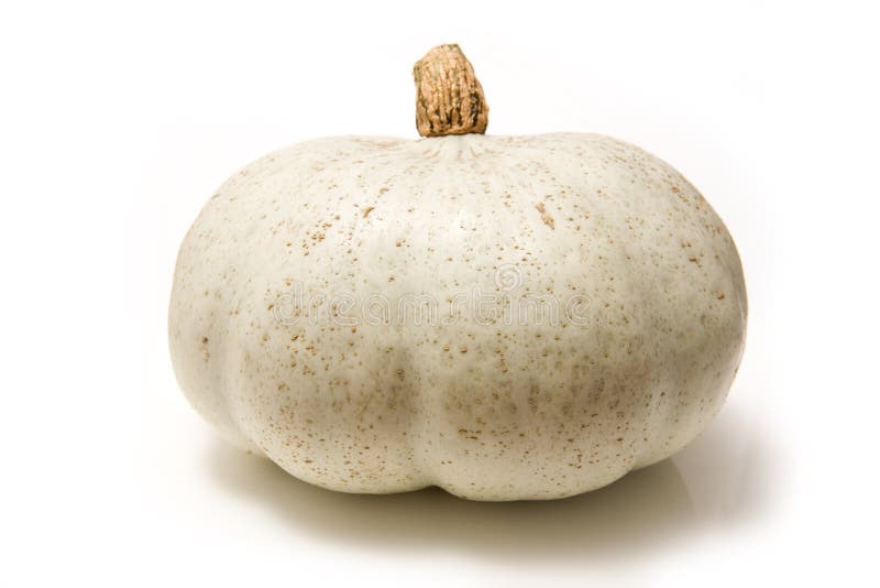 White pumpkin stock image. Image of isolated, white, curcubita - 1421739