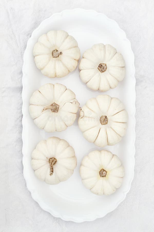 White Pumpkins stock image. Image of holidays, october - 44631767