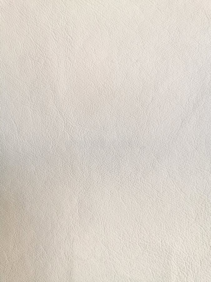 White Pure Shiny Snow Background Texture, Fresh Snow Texture in Blue ...