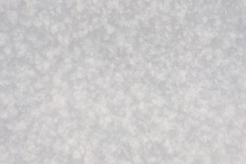 White Pure Shiny Snow Background Texture, Fresh Snow Texture in Blue ...