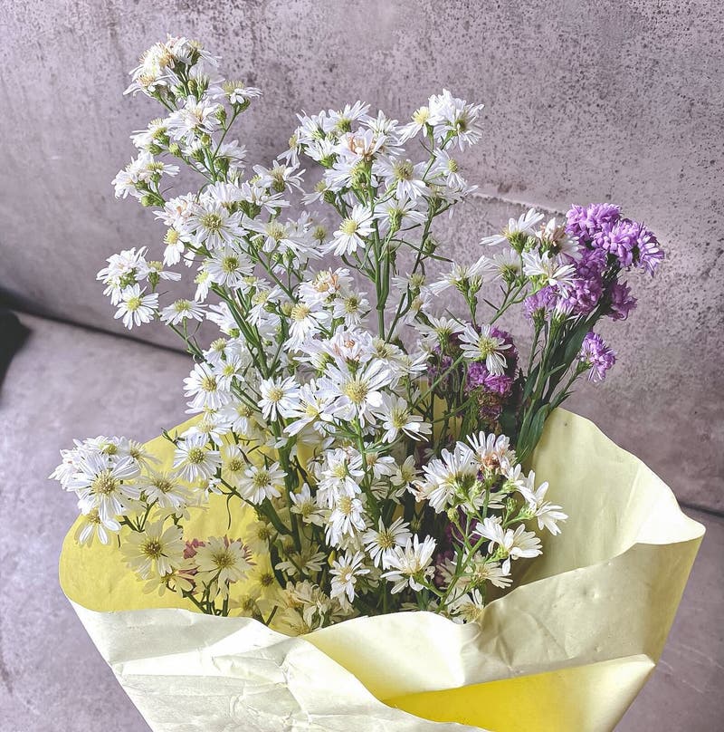 White and Purple Aster Flower Bouquet Close Up Stock Photo - Image of shells, flowerpot: 349623812