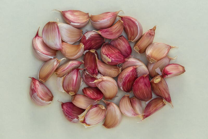 White and Purple Fresh Garlic Peeled Cloves Stock Image - Image of ...