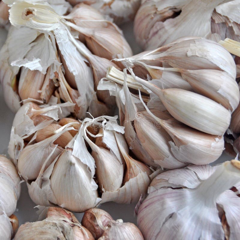 437 Garlic Loose Stock Photos - Free & Royalty-Free Stock Photos from ...