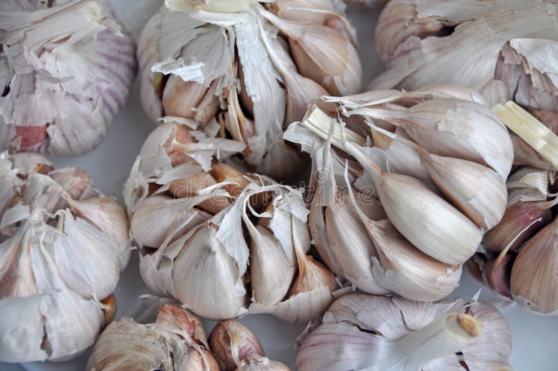 435 Garlic Loose Stock Photos - Free & Royalty-Free Stock Photos from ...