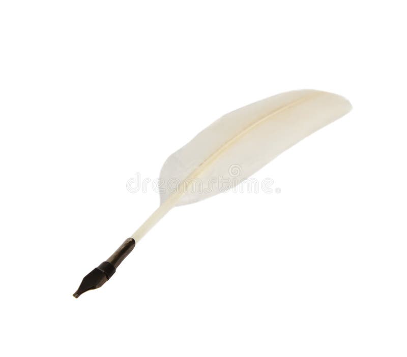 White Quill Lying on the Floor Stock Photo - Image of white, quill ...