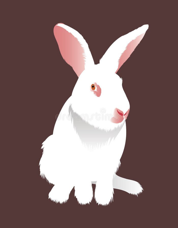 Waiting Rabbit Stock Illustrations – 268 Waiting Rabbit Stock ...