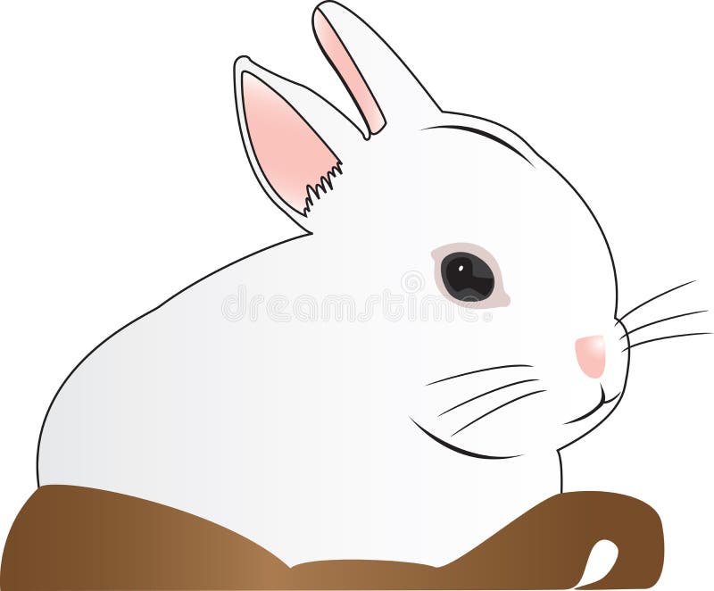 White rabbit in basket stock vector. Illustration of computer - 14161276