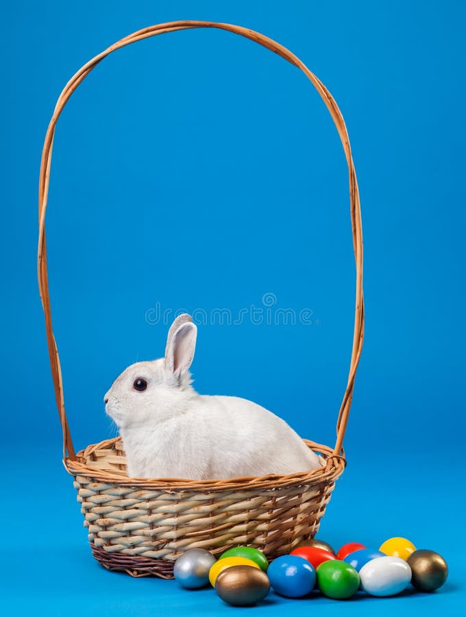 White Rabbit in Basket with Easter Eggs Isolated Stock Photo - Image of ...