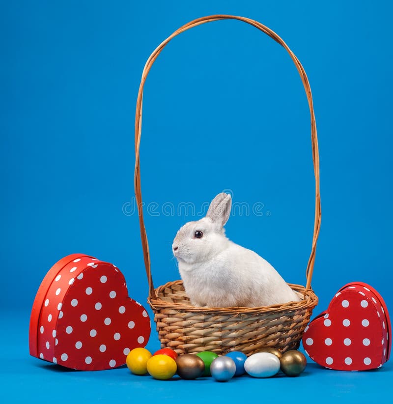 White Rabbit in Basket with Easter Eggs Isolated Stock Photo - Image of ...