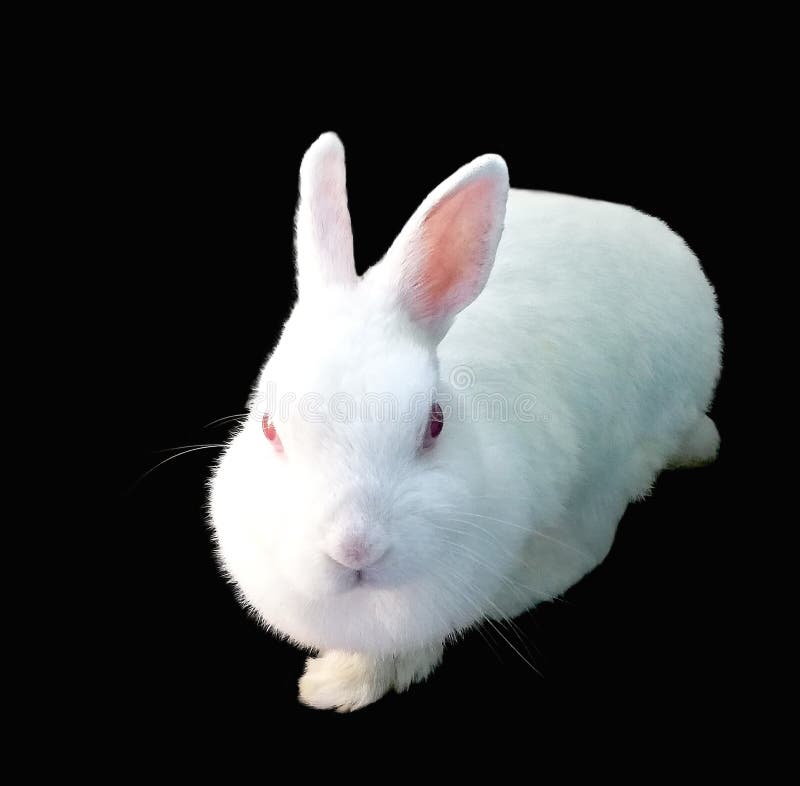 Supak Ngamluxsana (Situp1414) - Photographer profile