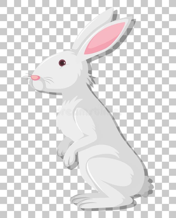 Cartoon Bunny Transparent Background Stock Illustrations – 322 Cartoon ...