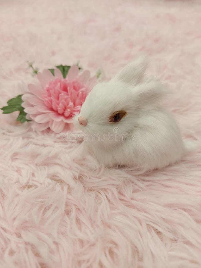 The White Rabbit and the Pink Flower. Stock Photo - Image of rabbit ...