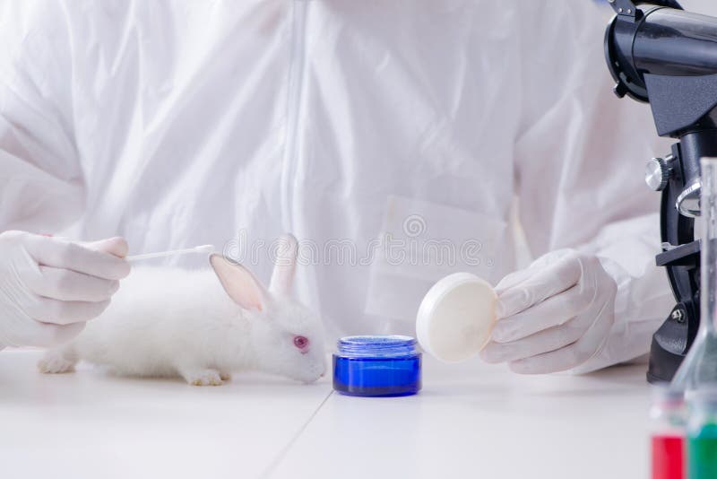 The White Rabbit in Scientific Lab Experiment Stock Photo - Image of ...