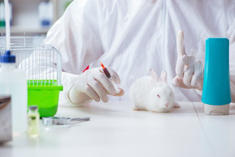 The White Rabbit in Scientific Lab Experiment Stock Photo - Image of ...