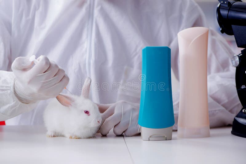 The White Rabbit in Scientific Lab Experiment Stock Image - Image of ...