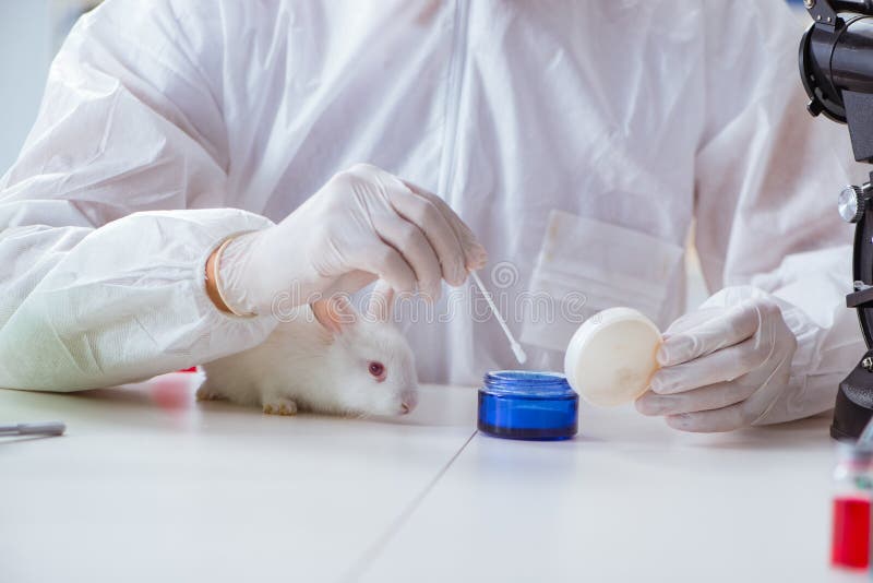 The White Rabbit in Scientific Lab Experiment Stock Photo - Image of ...