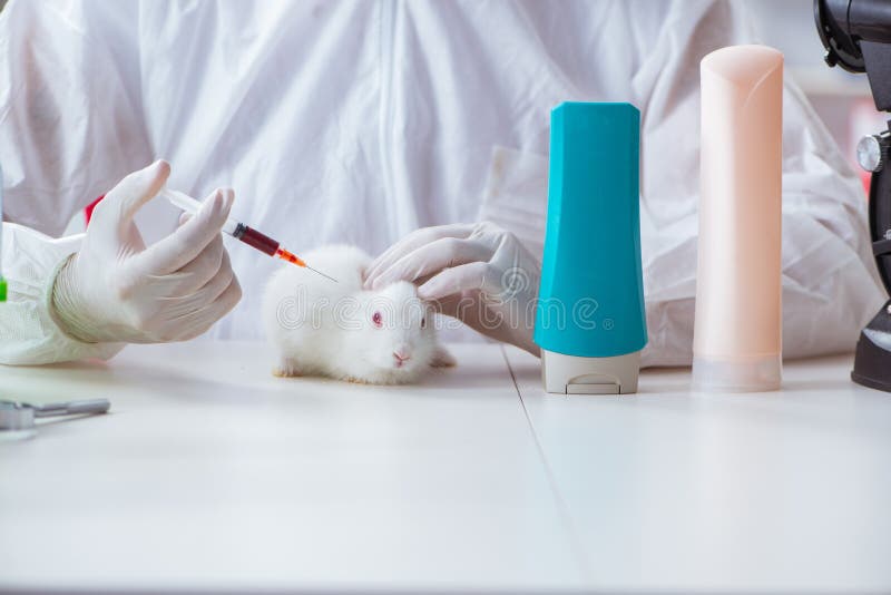 The White Rabbit in Scientific Lab Experiment Stock Photo - Image of ...