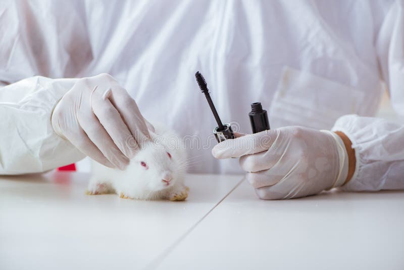 The White Rabbit in Scientific Lab Experiment Stock Image - Image of ...