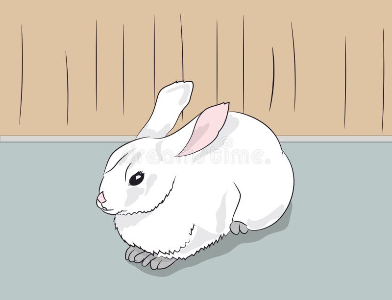 Rabbit Animation Frame Stock Illustrations – 129 Rabbit Animation Frame ...