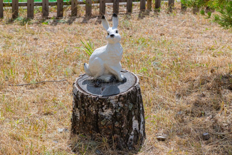 White Rabbit Sits on a Stump in the Forest Stock Image - Image of ...