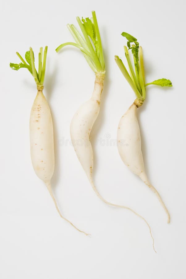 2,531 Raddish Stock Photos - Free & Royalty-Free Stock Photos from ...