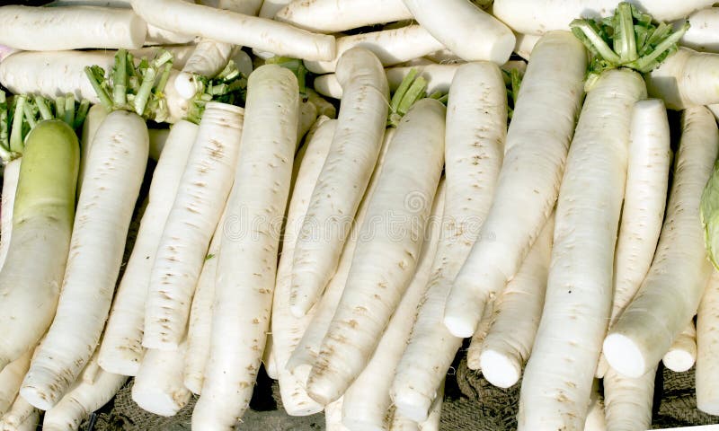 Daikon - Japanese radish stock image. Image of agricultural - 13960977