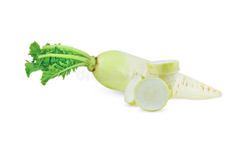 White Radish on White Background Stock Photo - Image of vitamin, long ...