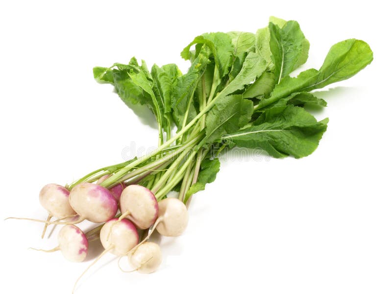 White Radish on White Background - Isolated Stock Photo - Image of food ...