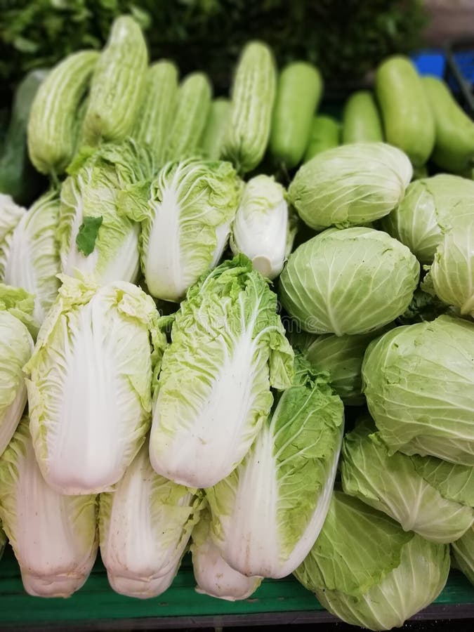 Cabbage And Radish On Market. Stock Photo - Image of vegetable, mature ...