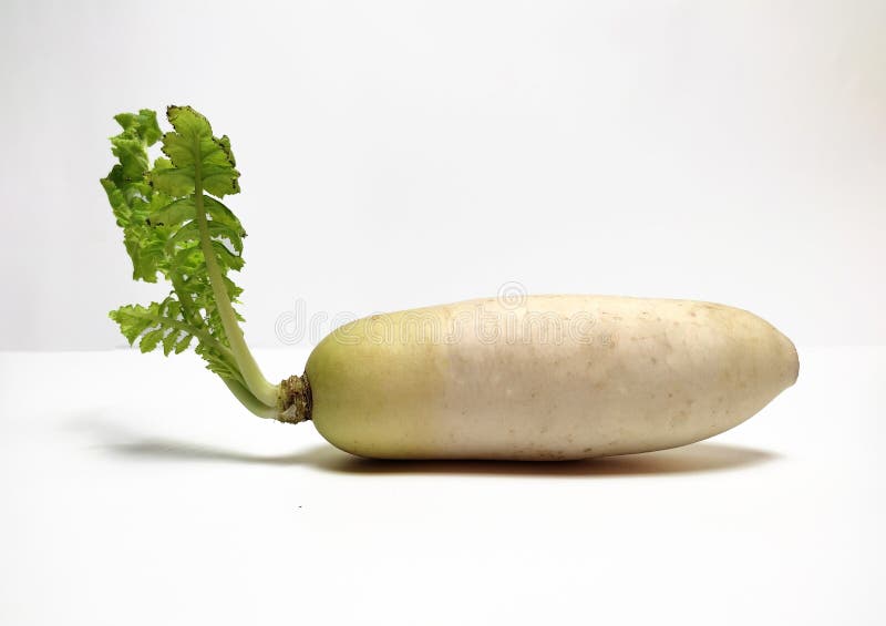 White Radish (Daikon) Isolated in White Background Stock Photo - Image ...