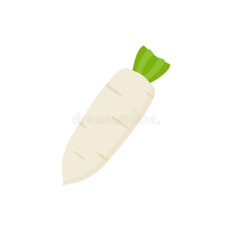 White Radish Flat Design Vector Illustration Stock Vector ...