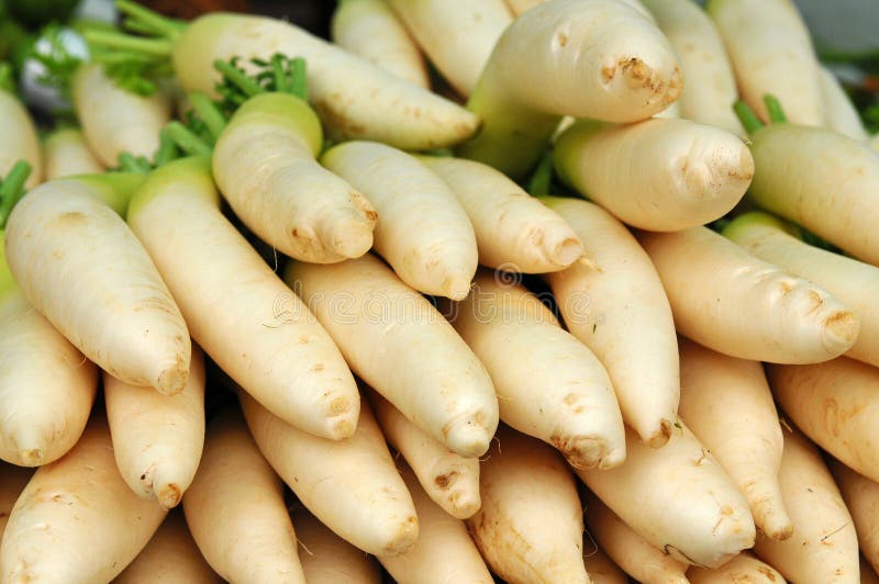 White radish in the market stock image. Image of farm - 8040579