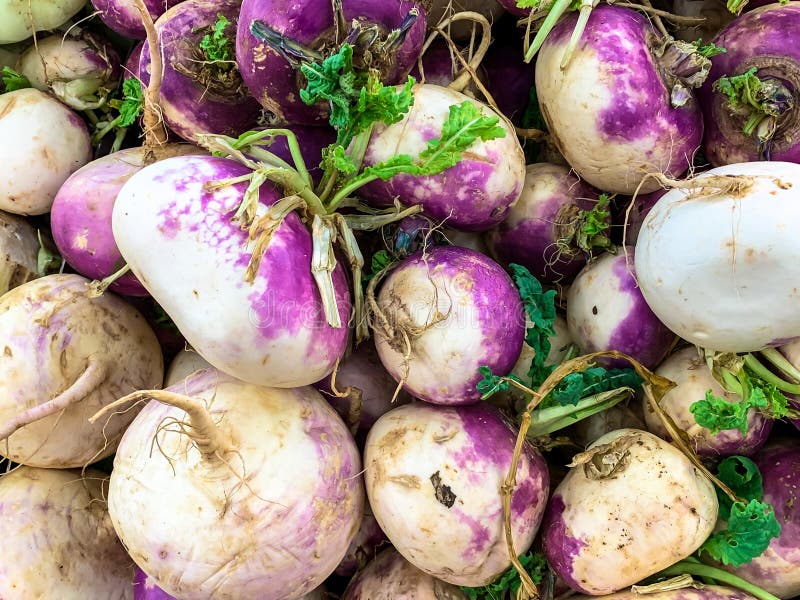 White Radish on a Rack in a Supermarket Stock Image - Image of food ...