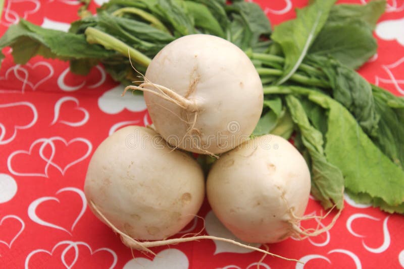 Radish Roots Heap on White Cloth Stock Image - Image of nature, autumn ...