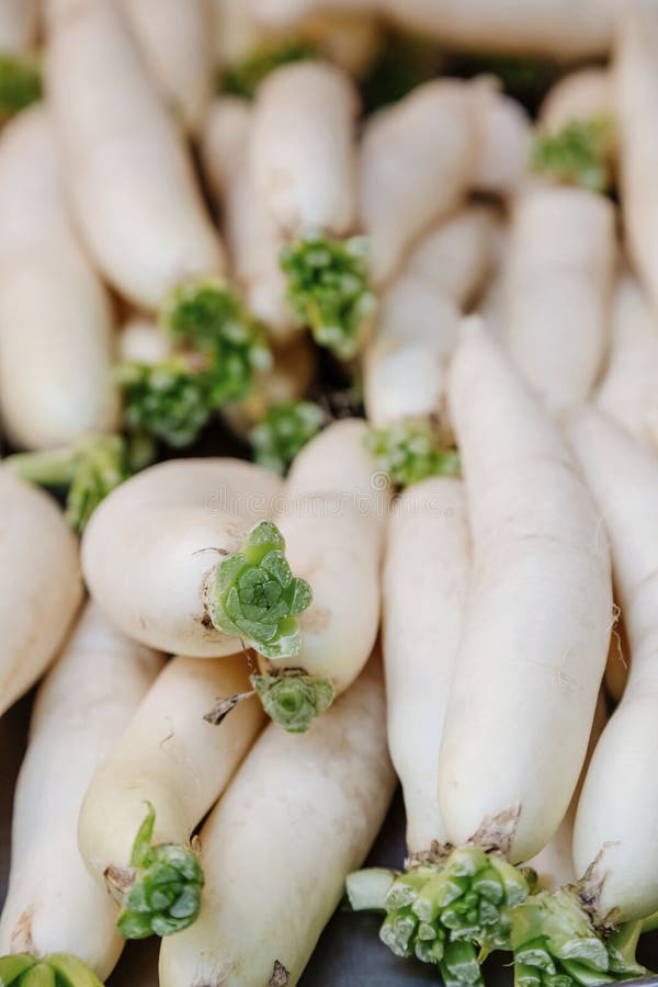 White radish stock image. Image of travel, taiwan, drinks - 97341197
