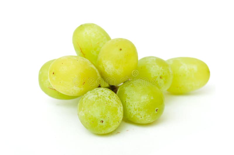 White Raisin stock image. Image of nutrition, nature - 50575329