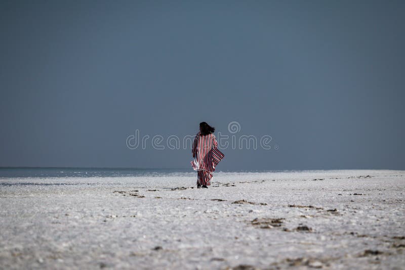 White Rann of Kutch stock photo. Image of gujarat, rann - 249053800