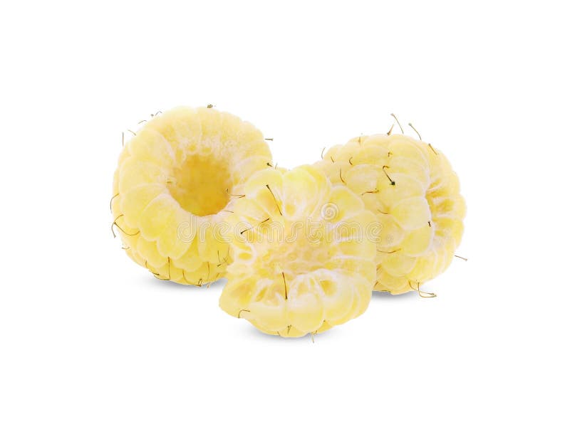 White Raspberries on White Background Full Depth of Field Stock Photo ...