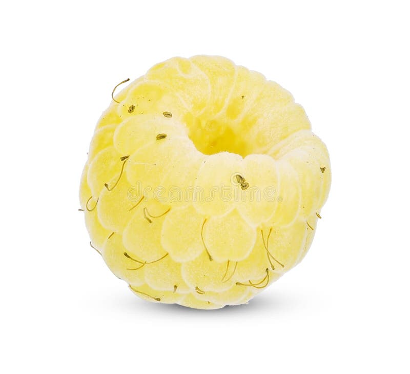 White Raspberries Bloom in the Fields Stock Image - Image of white ...