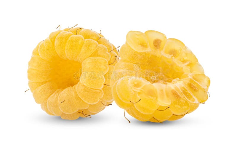 White Raspberries Isolated on White Stock Image - Image of berries ...