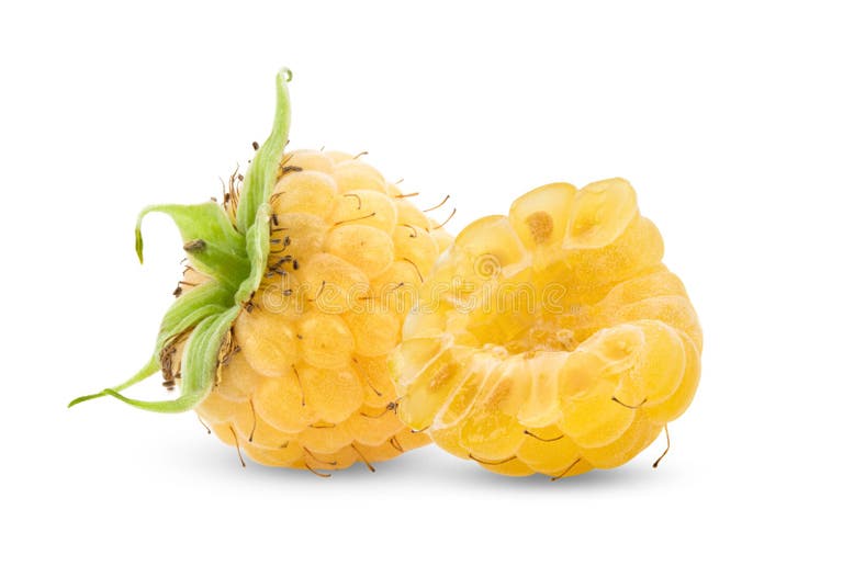 White Raspberries Isolated on White Background Stock Photo - Image of ...