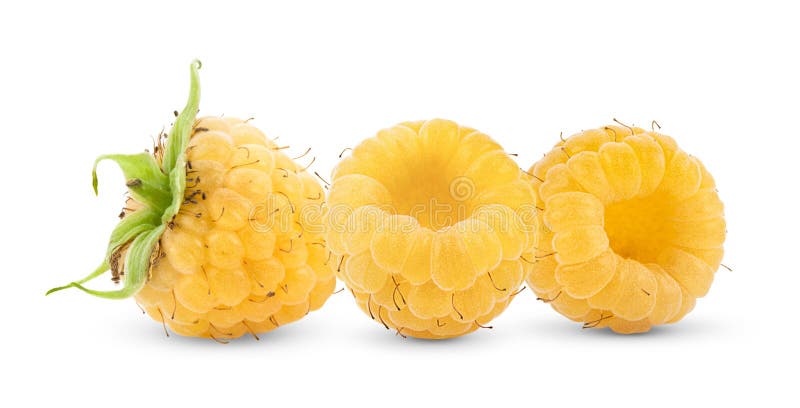 White Raspberries Isolated on White Background Stock Image - Image of ...